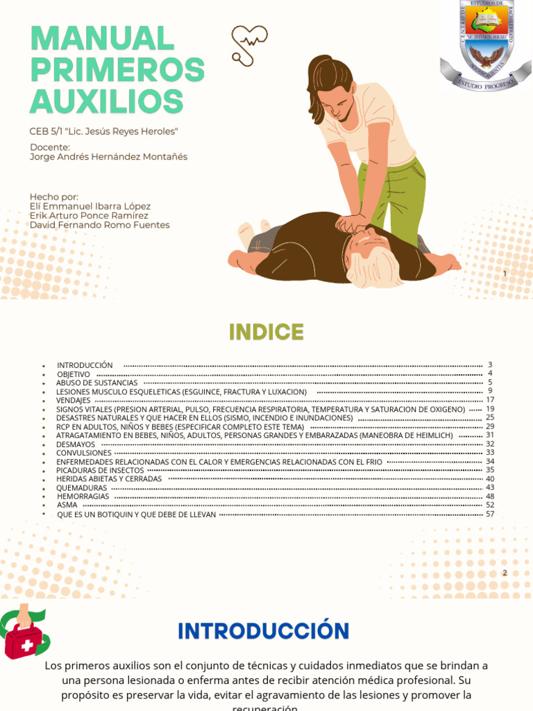 Presentación RCP y Primeros Auxilios Ilustrado Verde - 20250616 ...