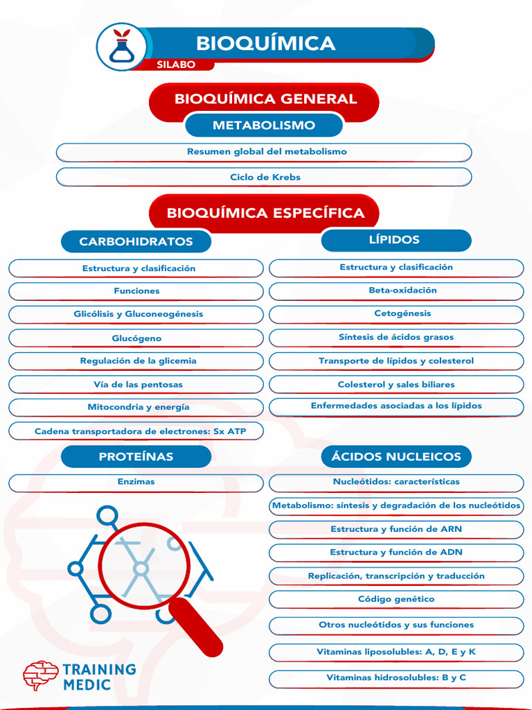 Fundamentos de Bioquímica y Metabolismo | PDF
