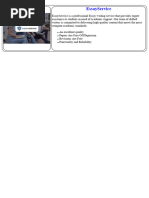 Example OCS Essay | PDF