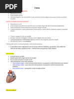 Anatomia do Sistema Venoso Ázigo | PDF | Veia | Coluna vertebral