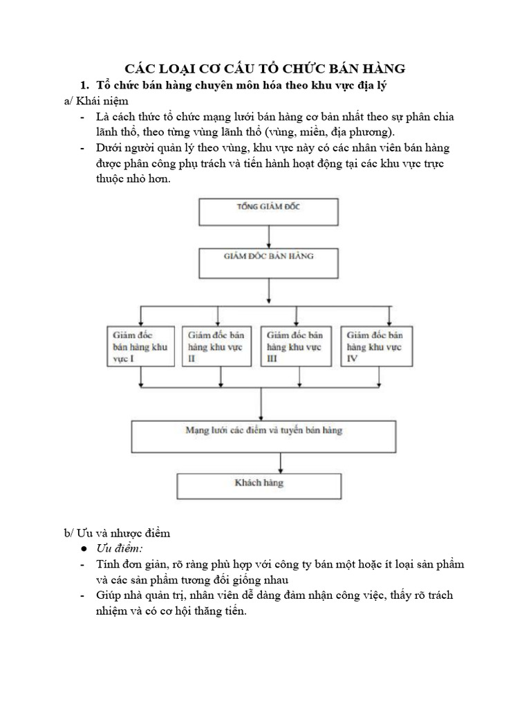 T CH C L C Lư NG Bán Hàng - Nhóm 3 | PDF