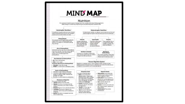 Science Mind Nutrition | PDF