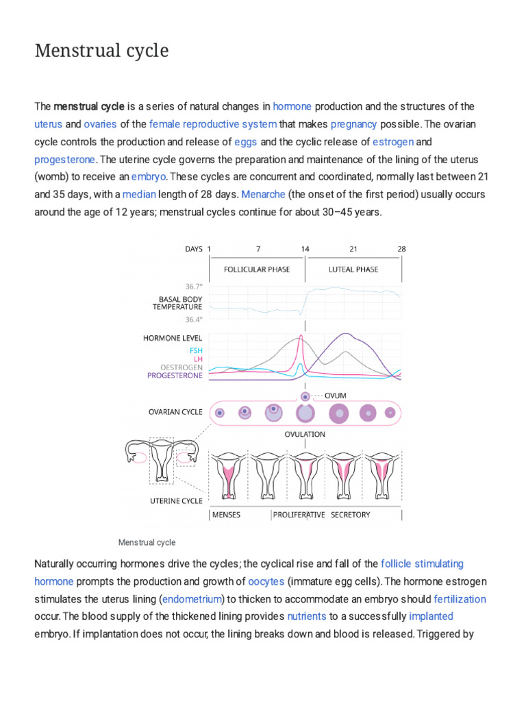 Overview of the Menstrual Cycle | PDF | Menstrual Cycle | Ovary
