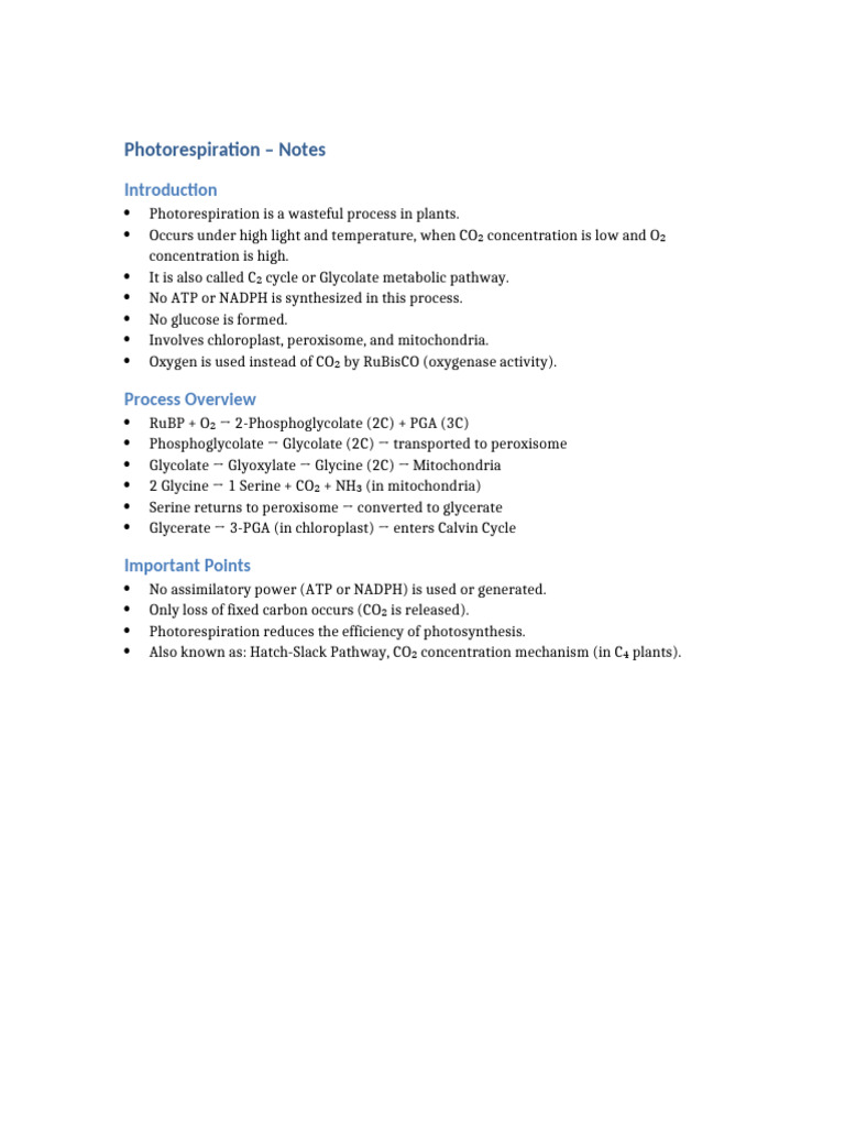 Understanding Photorespiration Process | PDF