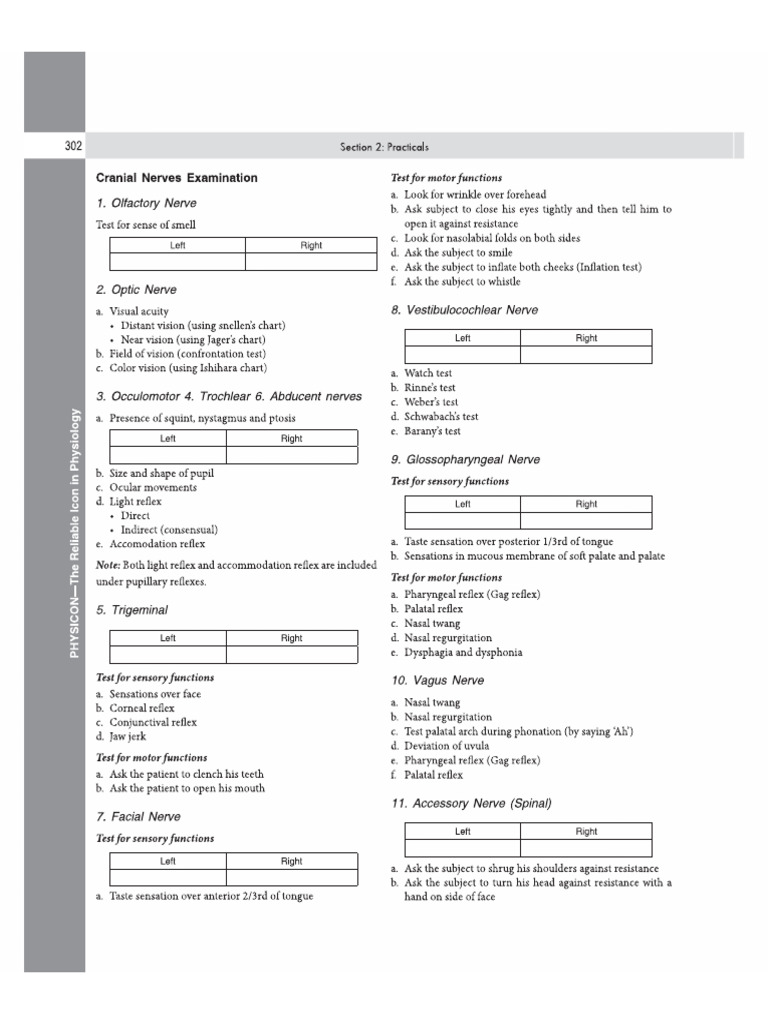 Cranial Nerves | PDF