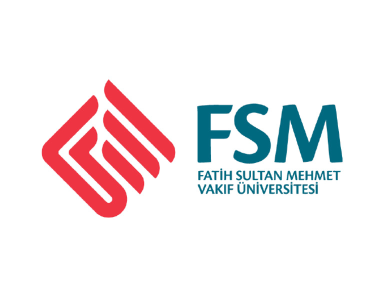 FSM 3msü | PDF