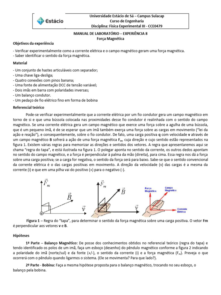 Força Magnética: Experiência em Física | PDF | Magnetismo | Campo magnético