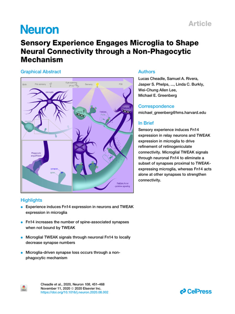MMC 2 | PDF | Synapse | Neuron