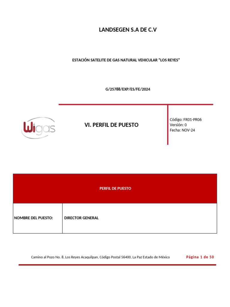 FR01-PR06 Perfil de Puesto DIRECTOR GENERAL | PDF | México