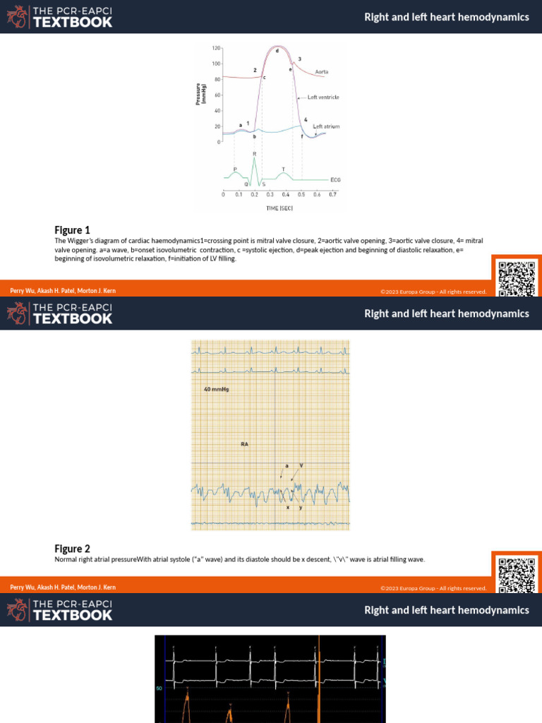 PCR Eapci Textbook Chapter Right and Left Heart Hemodynamics | PDF | Diastole | Heart