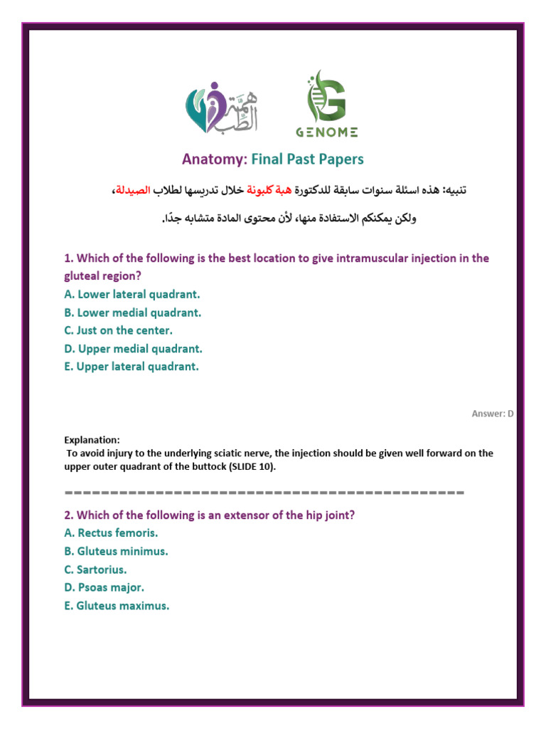 Anatomy Final Pastpapers (Dr. Heba Kalbouneh) | PDF | Vein | Large ...
