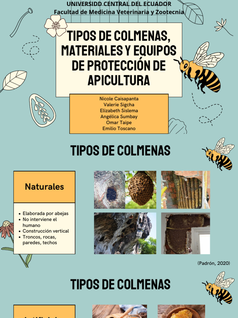 Tipos de Colmenas, Equipo y Materiales de Apicultura - Grupo 6 | PDF ...