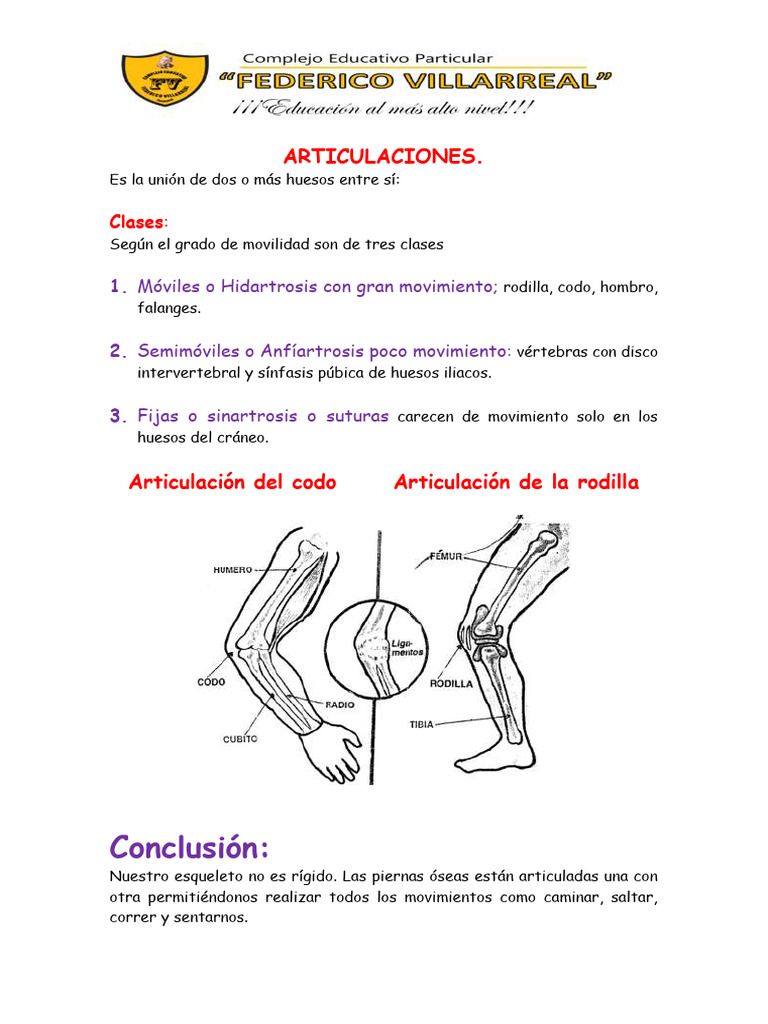 Art Icu Laci Ones | PDF