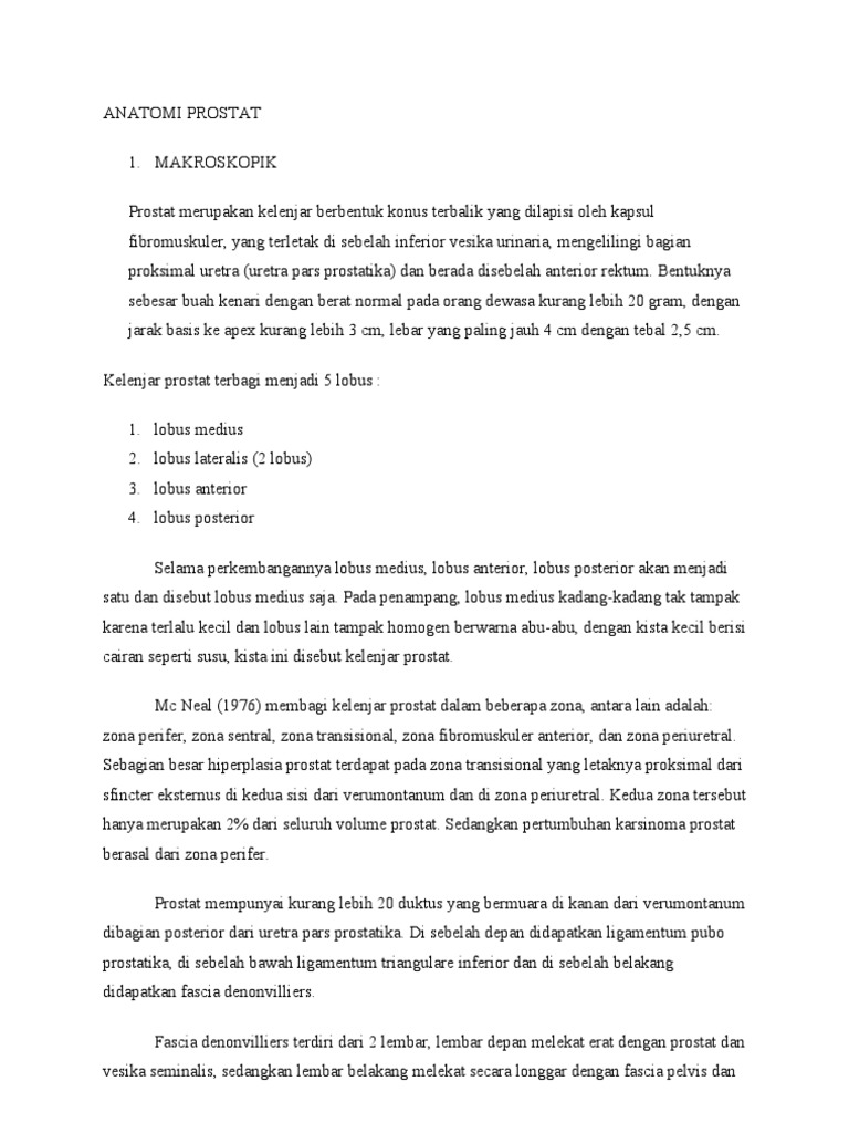 Anatomi Prostat | PDF