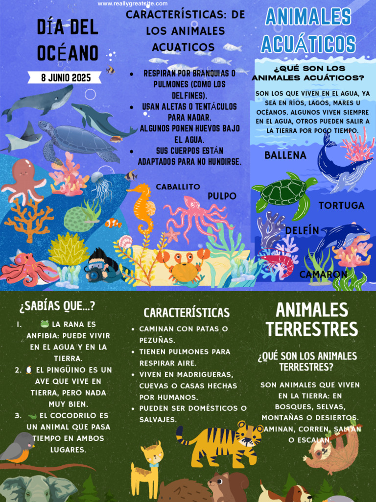 Animales Acuáticos y Terrestres | PDF | Zoología