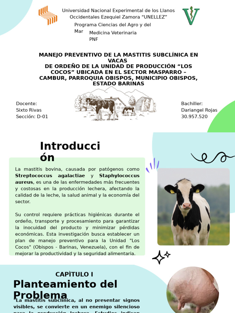 Manejo Preventivo de Mastitis Subclinica | PDF | Vacas | Leche