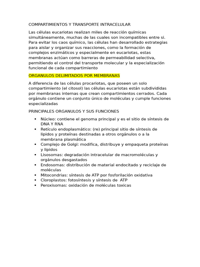 Compartimientos y Transporte Intracelular | PDF | Nucleo celular ...