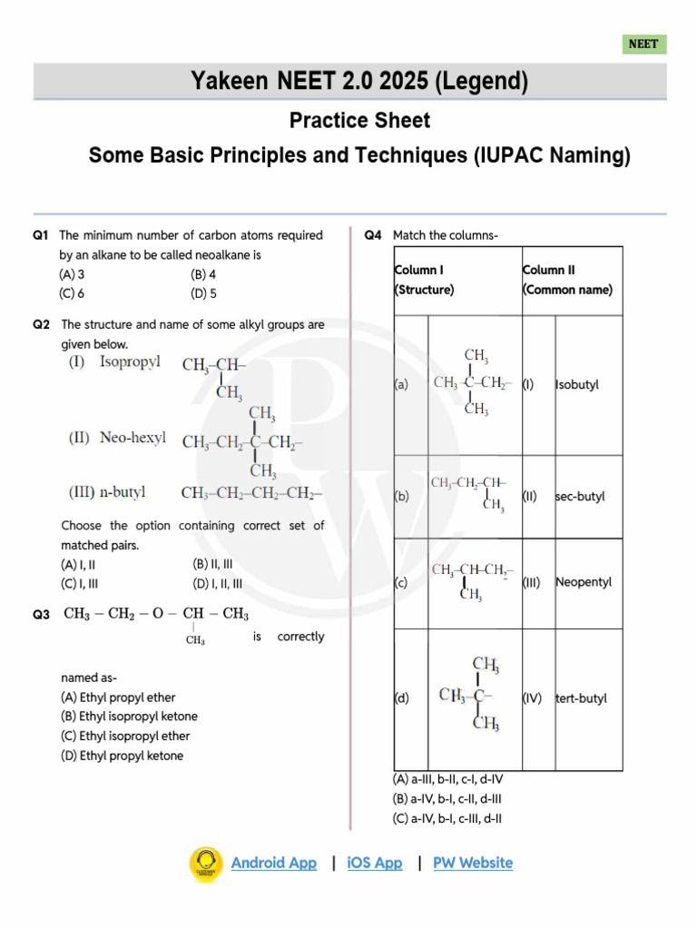 Some Basic Principles and Techniques (IUPAC Naming) Practi | PDF ...