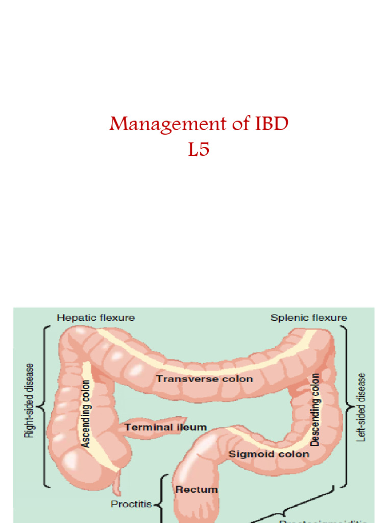 IBD Treatment-5 | PDF
