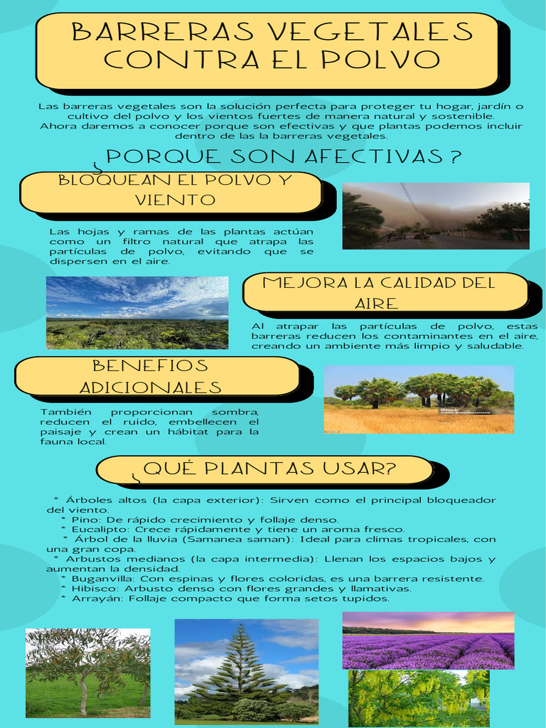 Barreras Vegetales GRUPO 3 | PDF