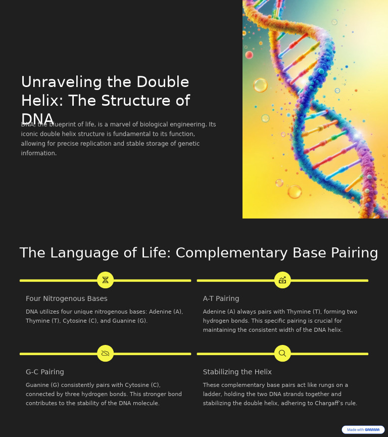 Unraveling The Double Helix The Structure of DNA | PDF