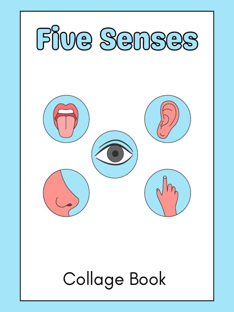 Five Senses Collage Science Worksheets in Grayscale Lined Images | PDF