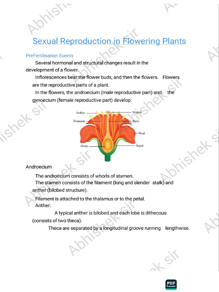 Sexual Reproduction in Flowering Plants | PDF