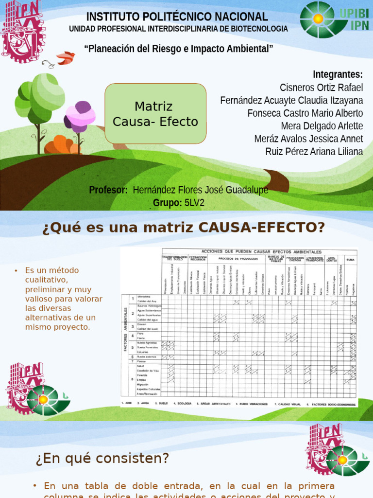 Matriz Causa Efecto-Ambiente | PDF | Entorno natural | Evaluación de impacto ambiental