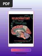 Neuroanatomy Through Clinical Cases 3rd Edition | PDF | Science ...