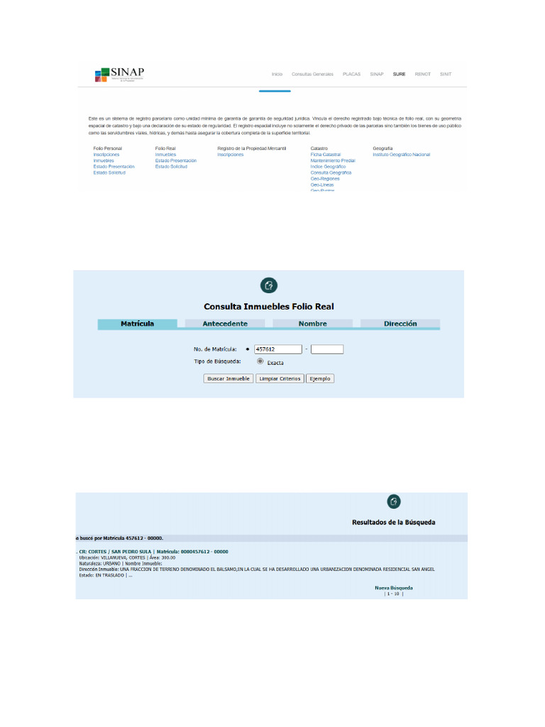 SINAP | PDF