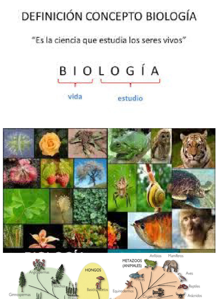Biologia y Ramas | PDF