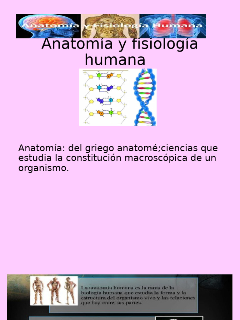 Anatomía y Fisiología Humana Esencial | PDF | Organismos | Términos ...