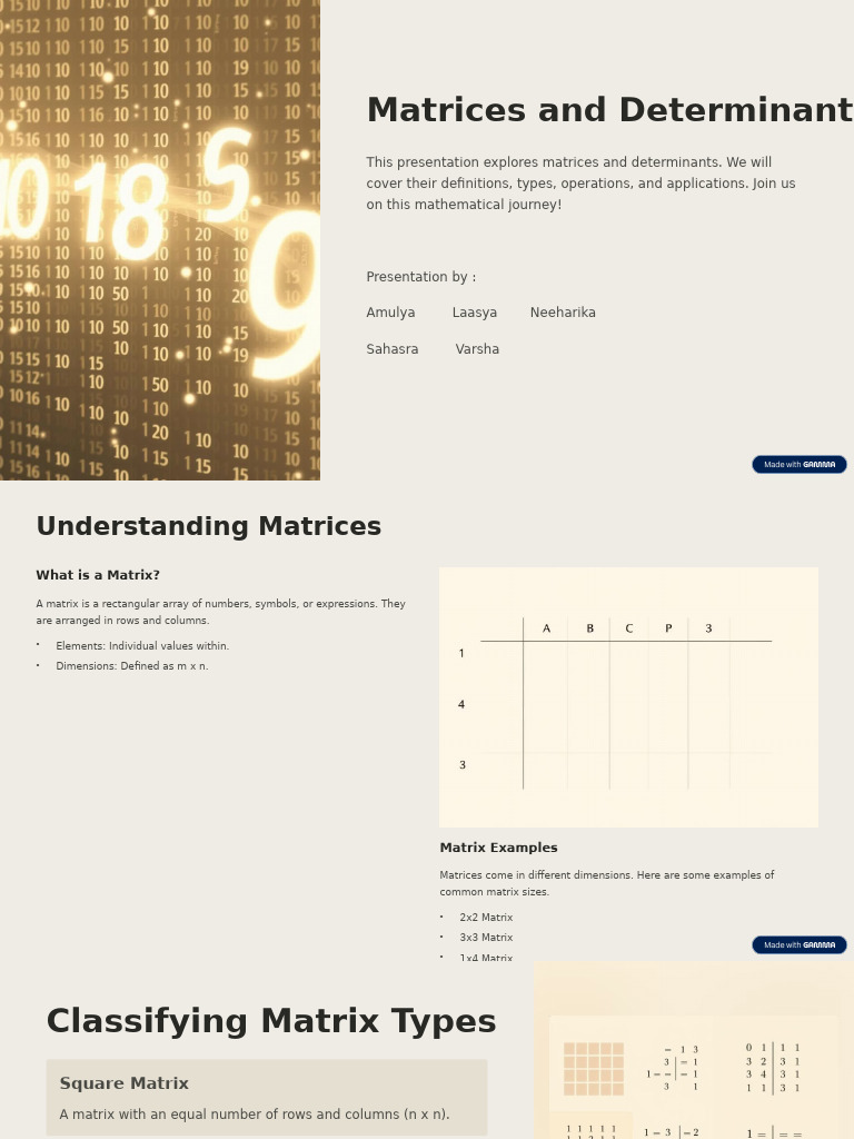Matrices and Determinants | PDF | Matrix (Mathematics) | Determinant