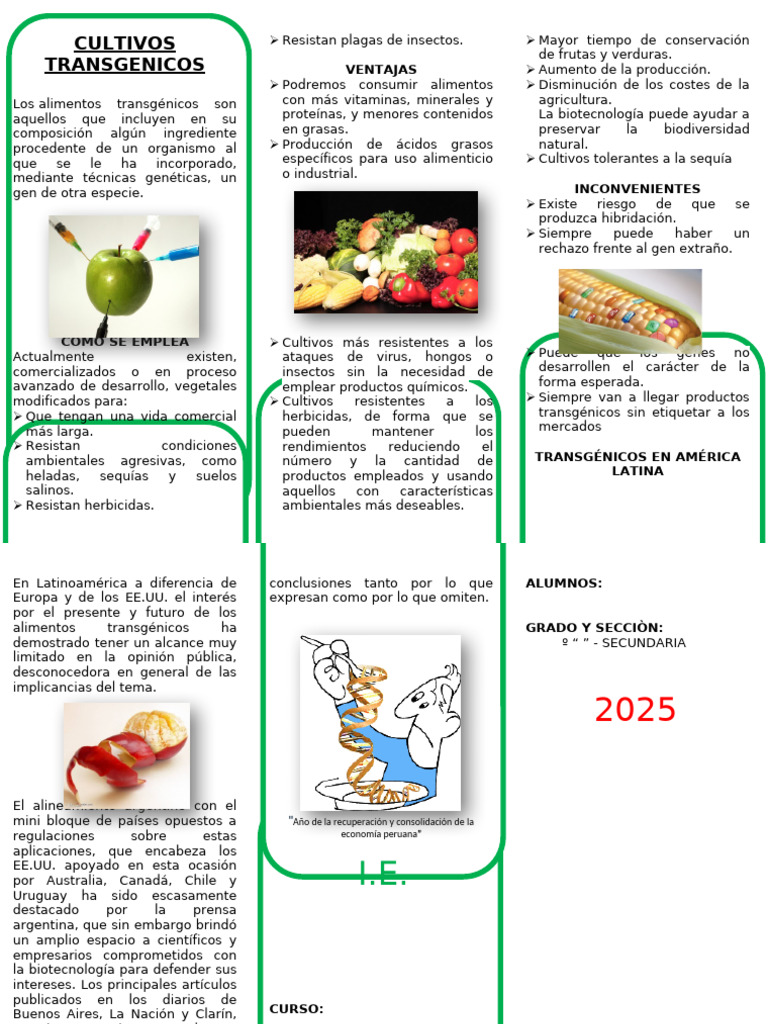 CULTIVO TRASGENICO Triptico | PDF | Organismo genéticamente modificado ...