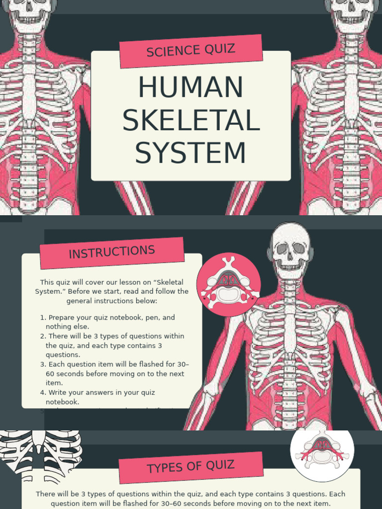 The Human Skeletal System Quiz | PDF | Skeletal System ...