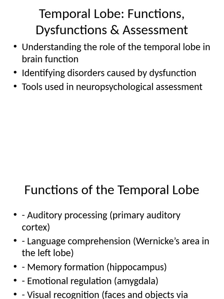 Temporal Lobe Neuropsychology Presentation | PDF