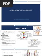 Exploración Clínica de la Rodilla | PDF | Rodilla | Anatomía humana