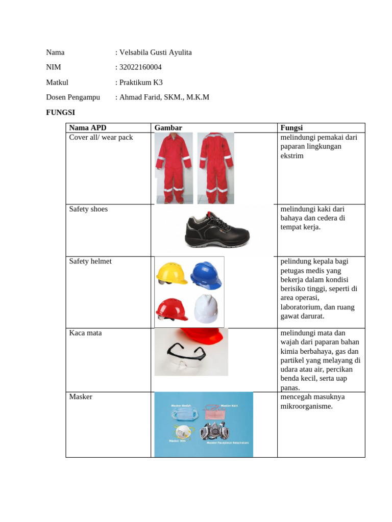Fungsi Apd | PDF