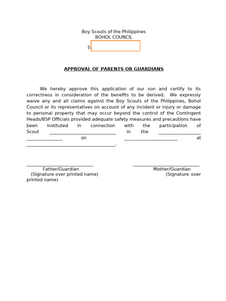 Bohol Council Scout Application Approval | PDF