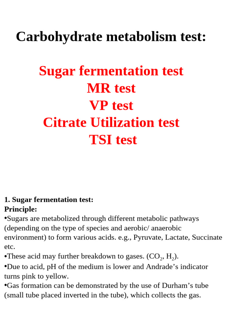 Sugar Fermentation Test Overview | PDF | Fermentation | Lactic Acid