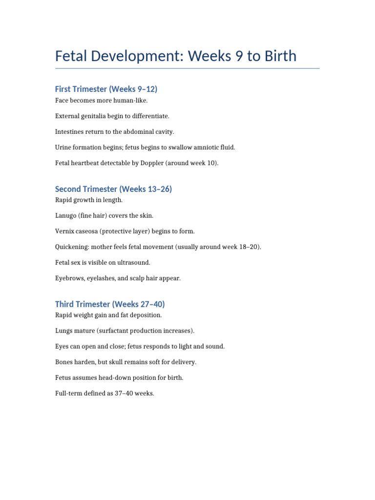 Fetal Development Stages: Weeks 9-40 | PDF