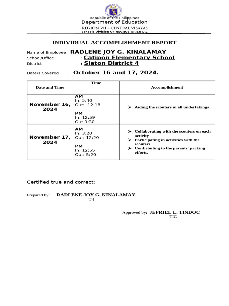 Individual Accomplishment Report 2024 | PDF