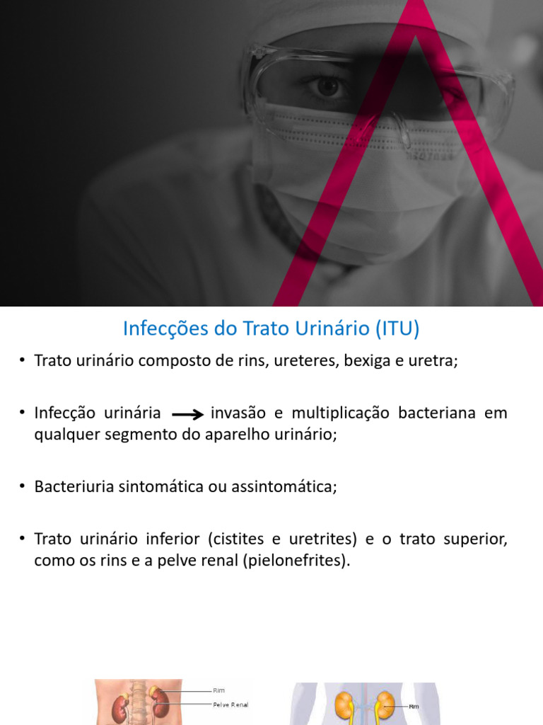 Fisiopatologia da Infecção Urinária | PDF | Infecção do trato urinário ...