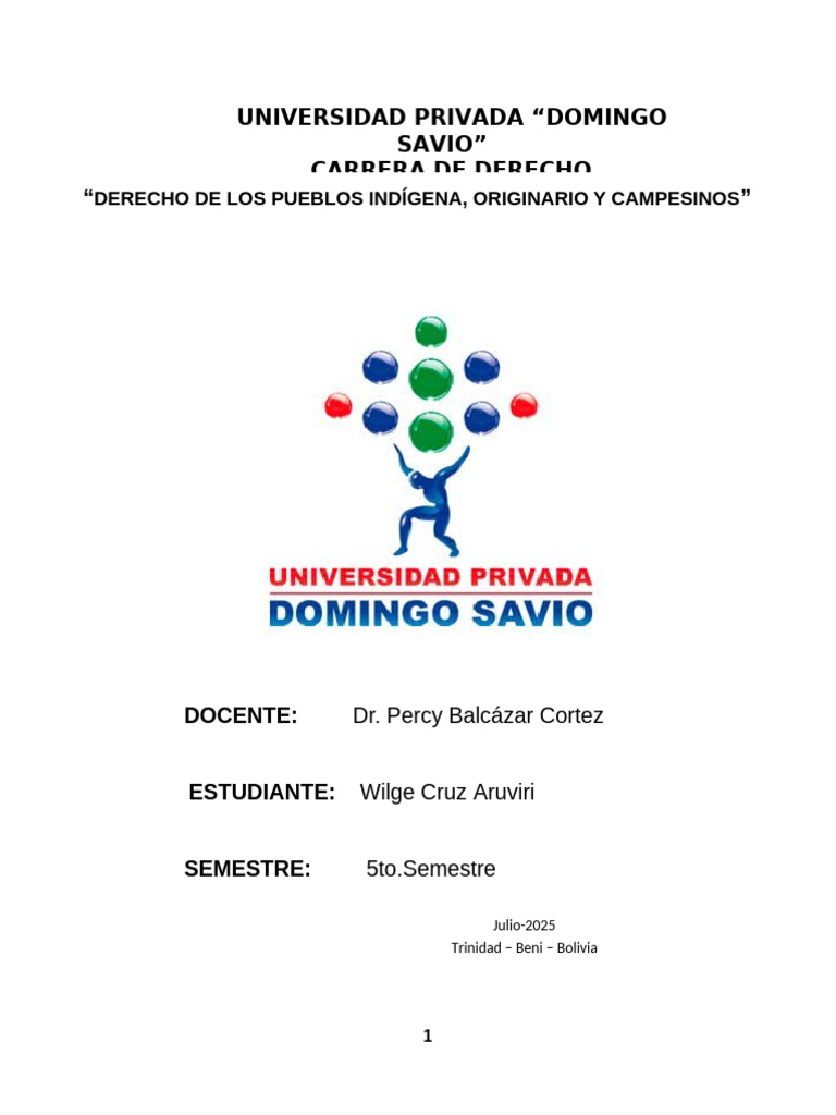 Actividad Xi Mapa Conc. Ley 450 | PDF