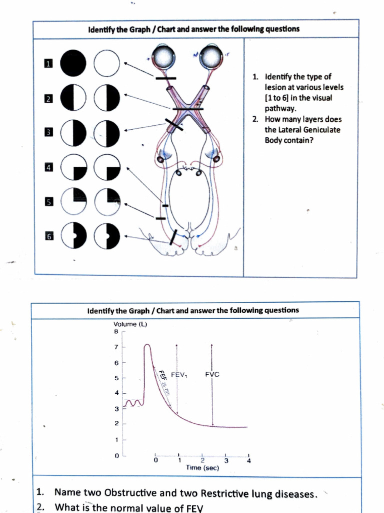 Physio Spotters PDF | PDF