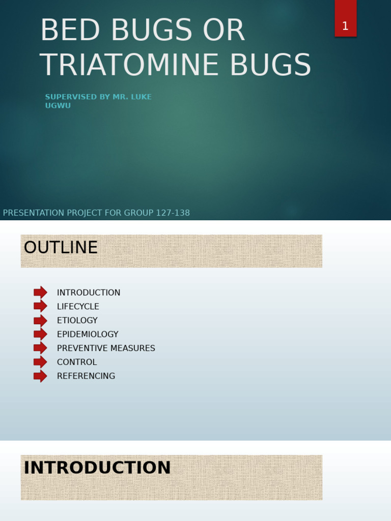 Bed Bugs or Triatomine Bugs | PDF