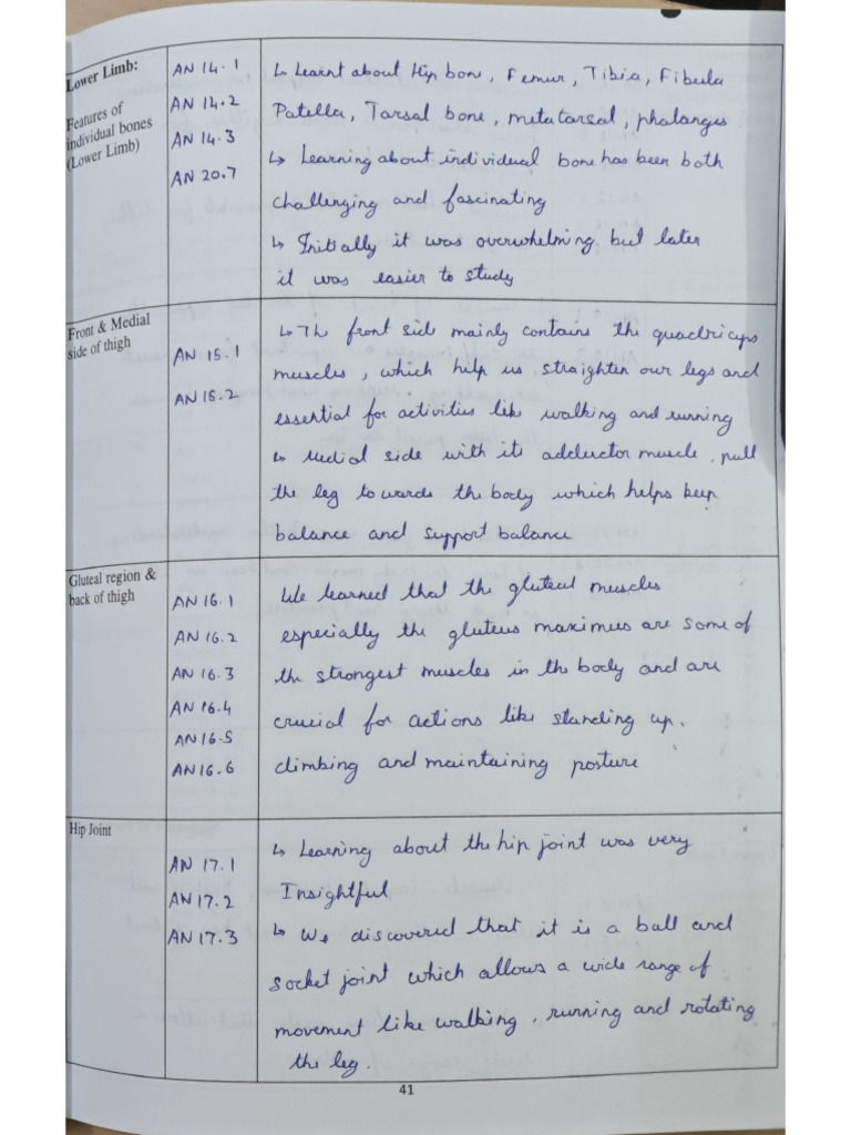 Anat LGT and SGT | PDF