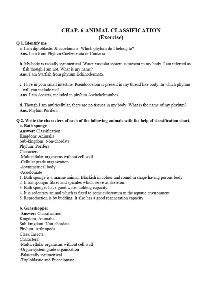 Chap.6 Animal Classification (Exercise) | PDF | Sponge | Respiratory System