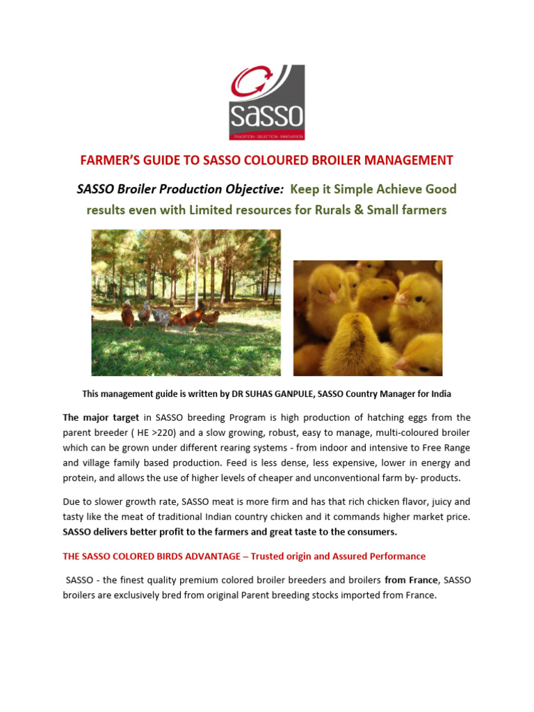 Sasso Broiler Management | PDF | Broiler | Birds