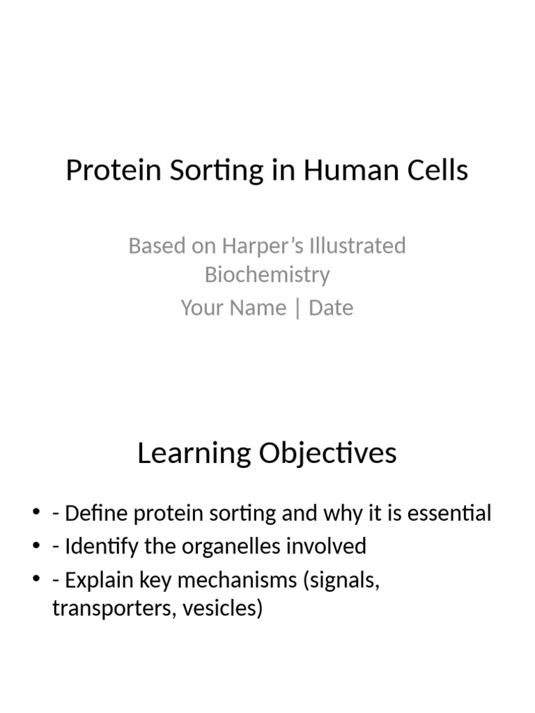 Protein Sorting Harper Presentation | PDF | Protein Targeting ...